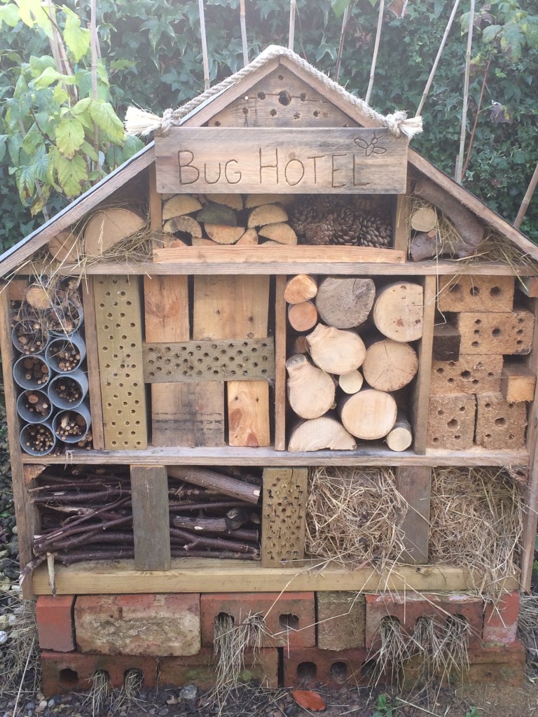 How to Build an Insect Hotel – Little Silver Hedgehog