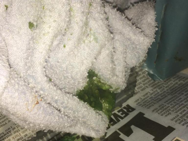 How to identify hedgehog poo – Little Silver Hedgehog