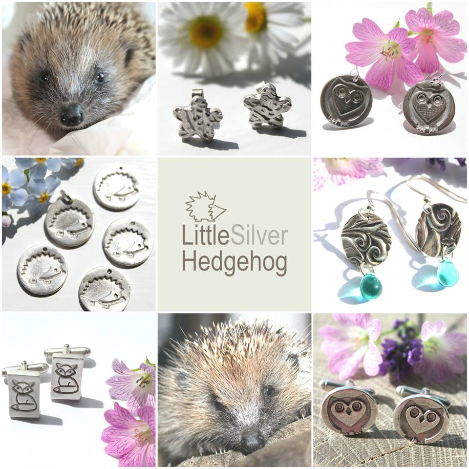 Hedgehog size and weight and why it matters – Little Silver Hedgehog