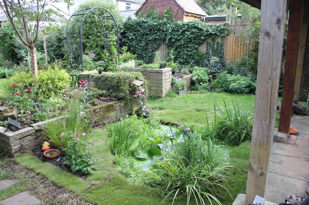 Hedgehog friendly wildlife pond – Little Silver Hedgehog