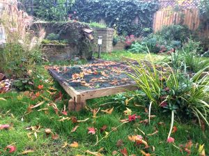 Hedgehog friendly wildlife pond – Little Silver Hedgehog