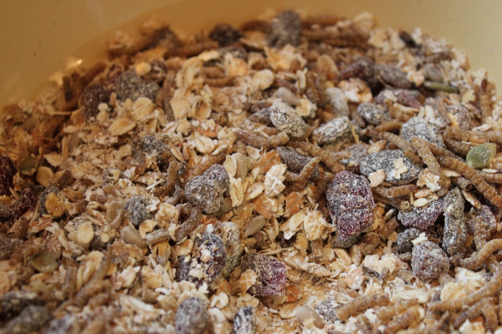 DIY wild bird fat balls recipe – Little Silver Hedgehog