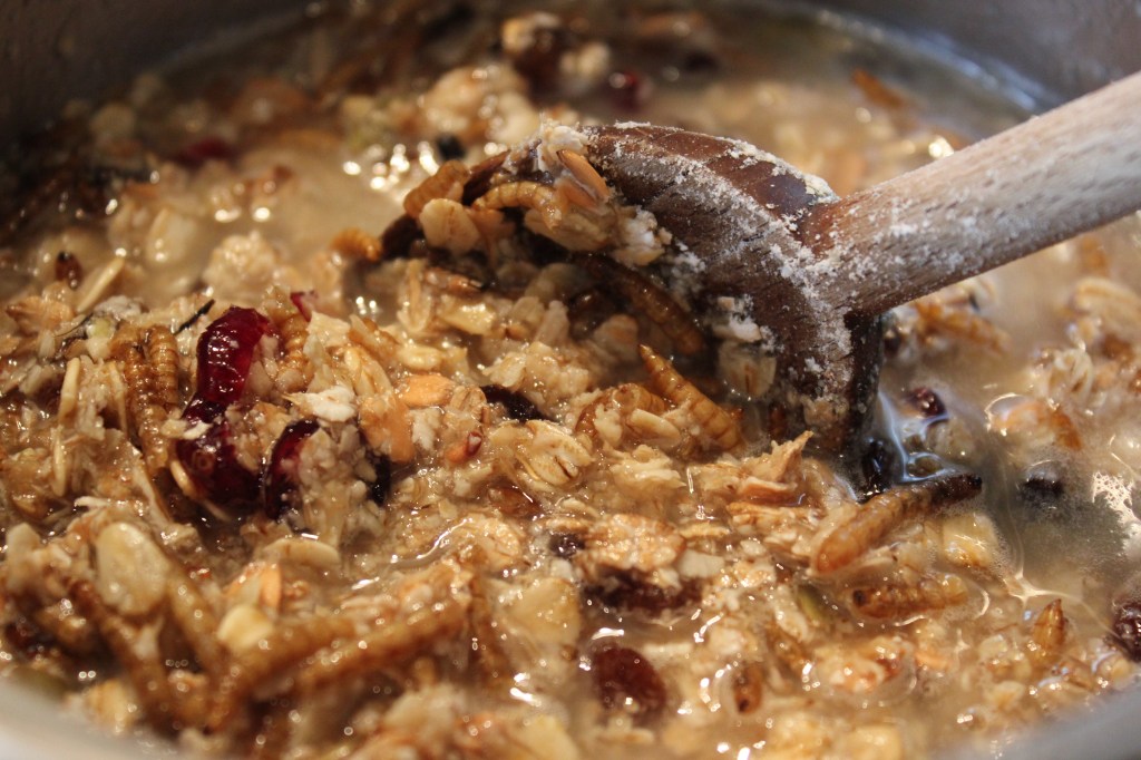 DIY wild bird fat balls recipe – Little Silver Hedgehog