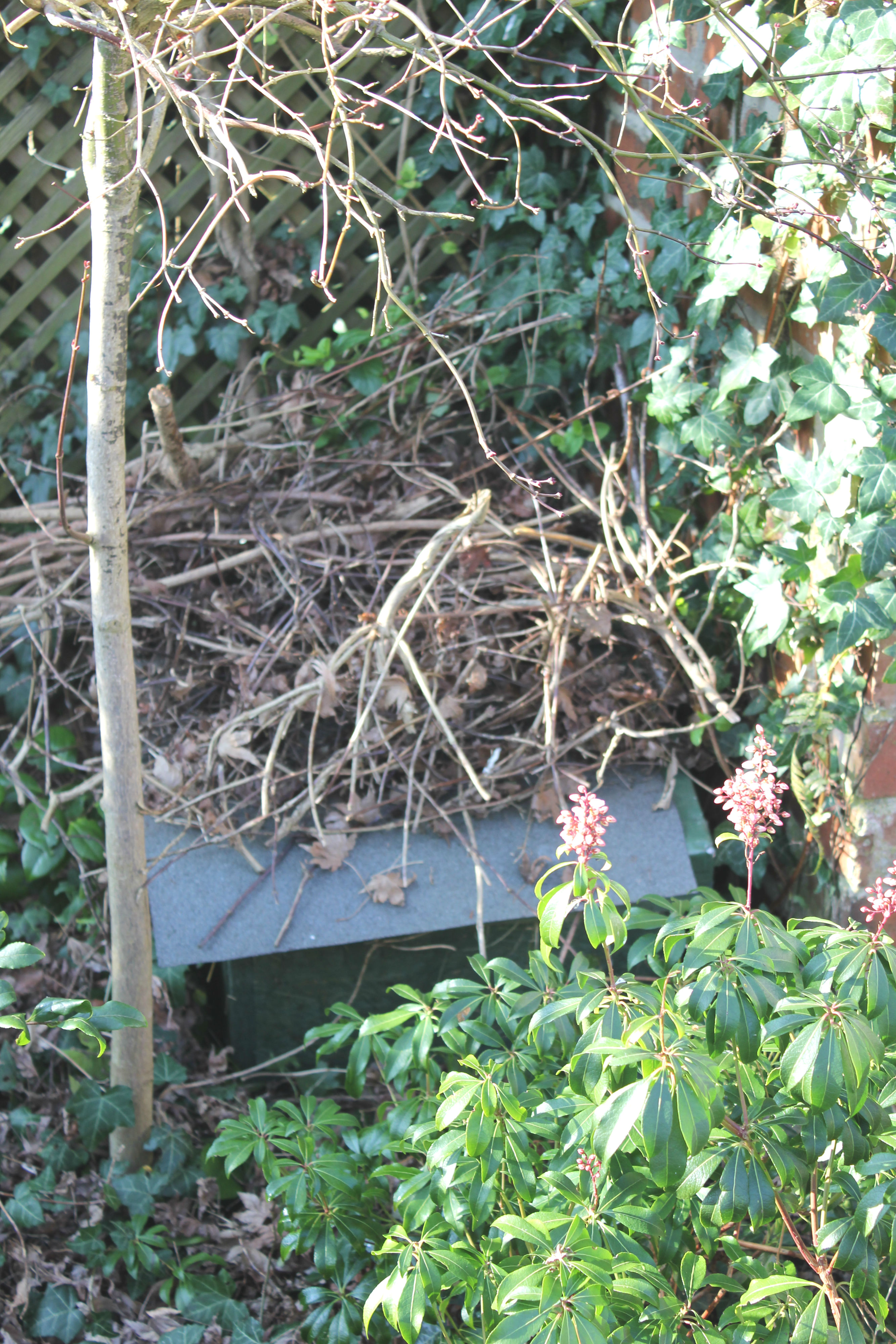 Build a hedgehog house – Little Silver Hedgehog
