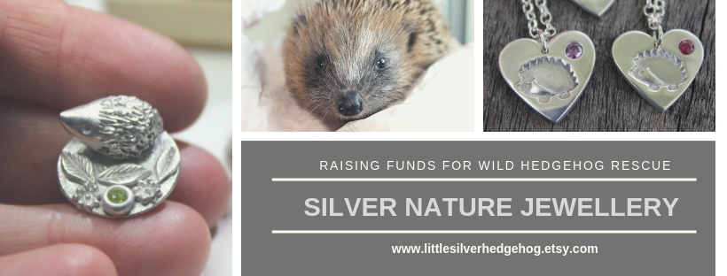 Cleaning hedgehog boxes – Little Silver Hedgehog