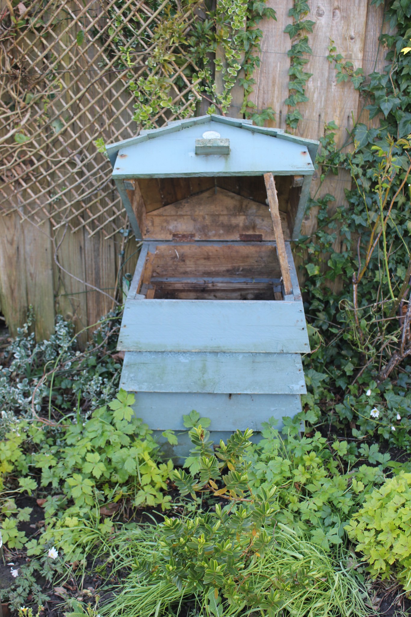 Make a compost heap – Little Silver Hedgehog