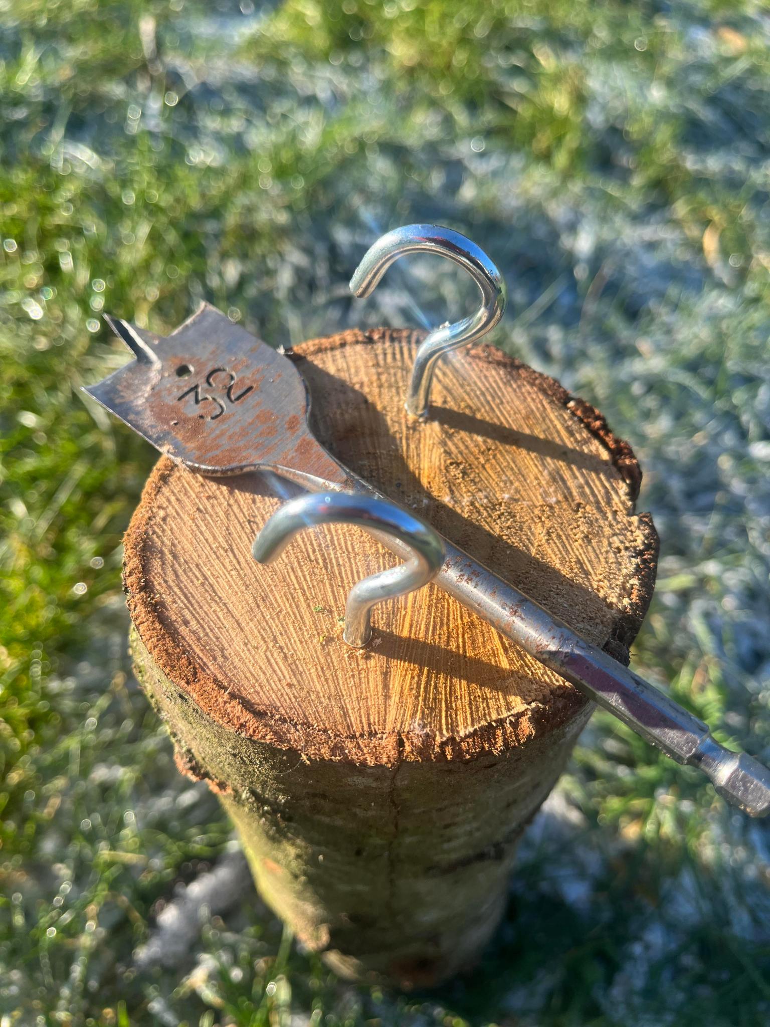 Woodpecker feeding logs – Little Silver Hedgehog