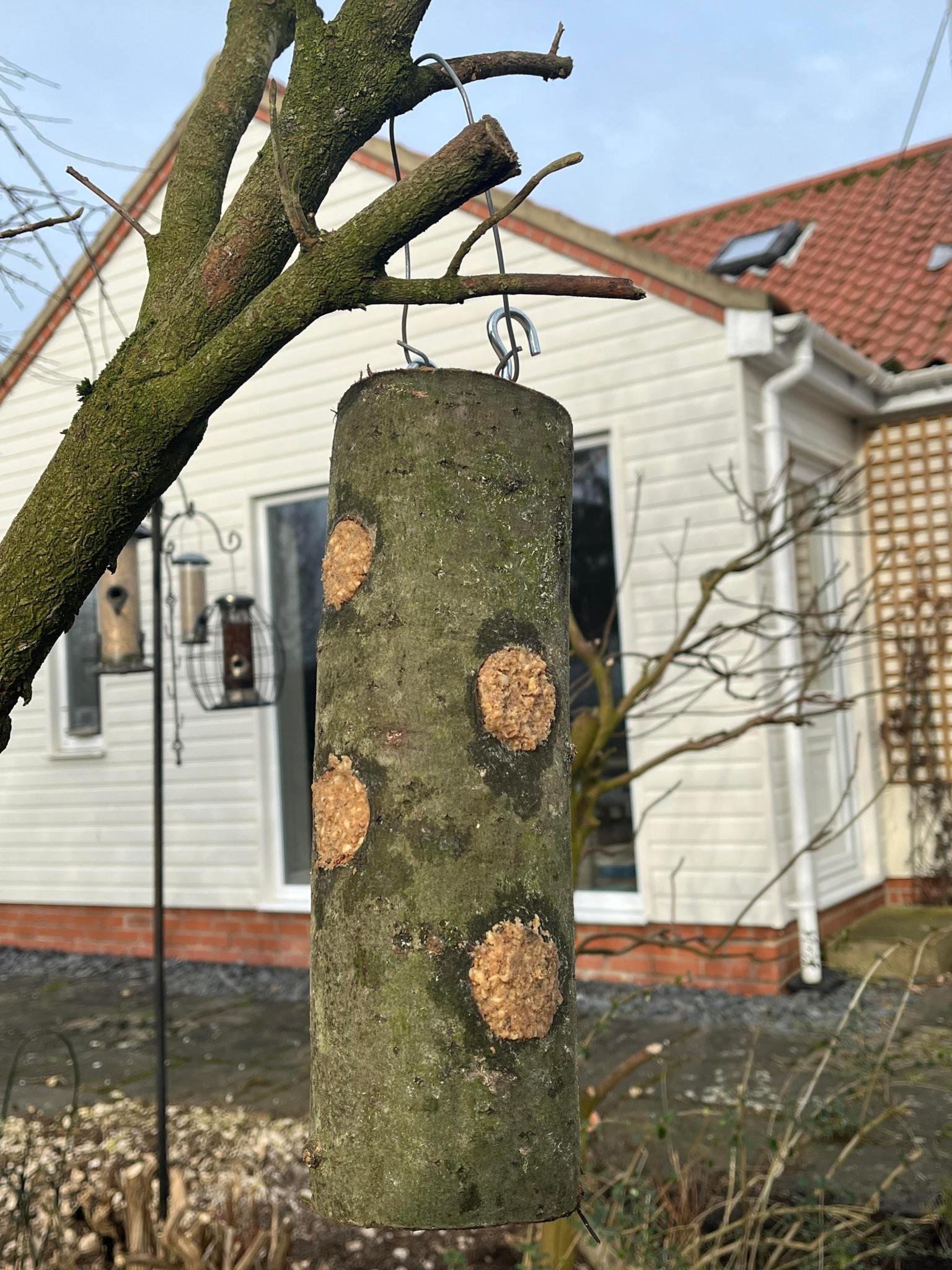Woodpecker feeding logs – Little Silver Hedgehog
